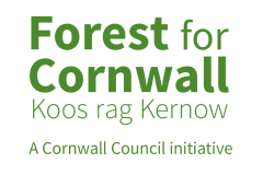Cornwall Heritage Trust ~ Preserving Cornwall's Story