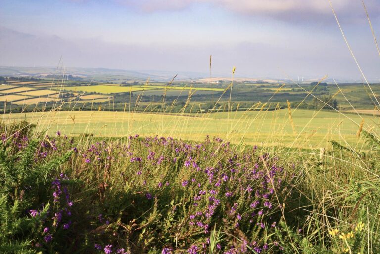 Cornwall Heritage Trust ~ Preserving Cornwall's Story