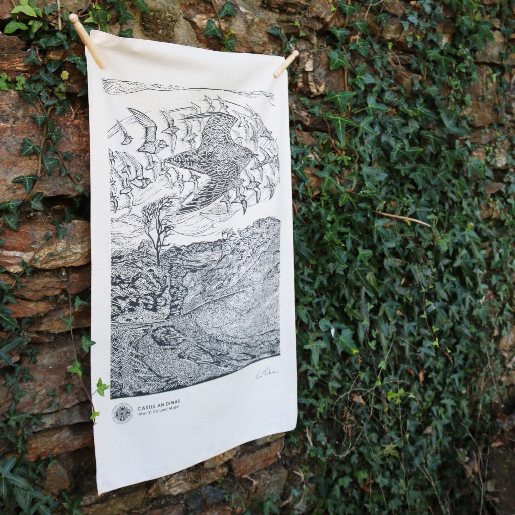 Cornwall Heritage Trust ~ Preserving Cornwall's Story