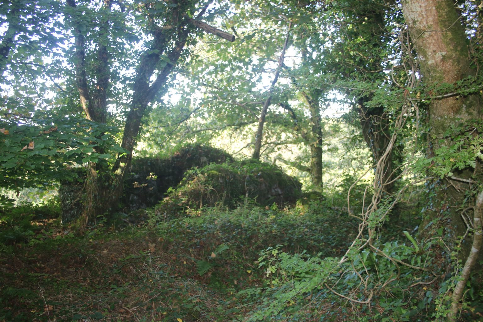 Cornwall Heritage Trust ~ Preserving Cornwall's Story