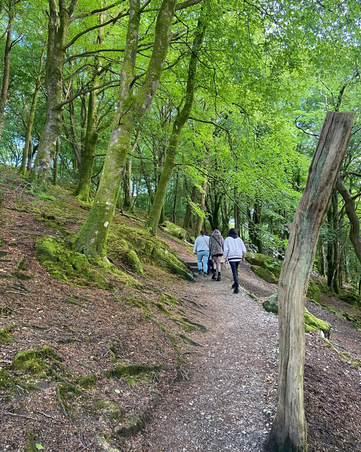 Cornwall Heritage Trust ~ Preserving Cornwall's Story