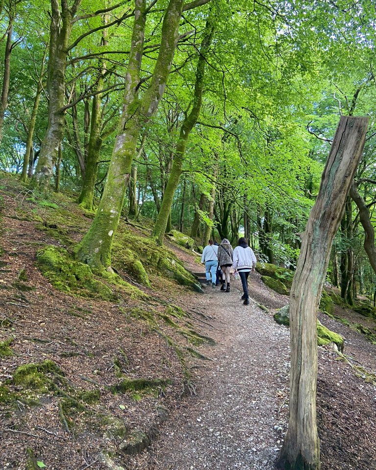 Cornwall Heritage Trust ~ Preserving Cornwall's Story